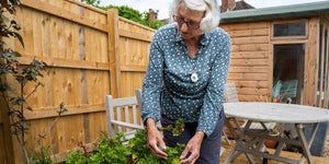 Over-75 health checks that can be lifesaving | TakingCare